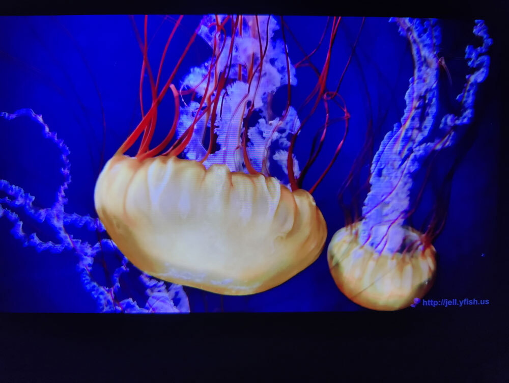 JingPad Review: A Linux Tablet With Potential, But Rough Edges