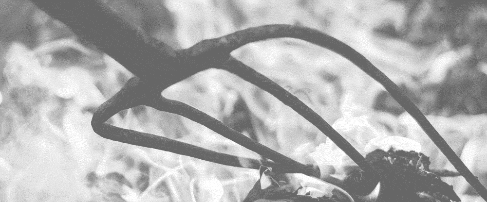 Why Did Condé Nast Break Pitchfork?