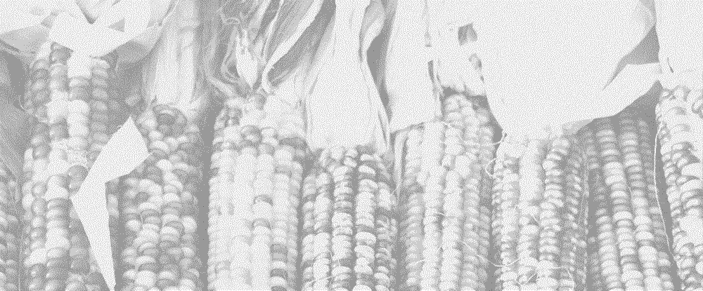 The Kernel Tension The CrowdStrike Mess Exposes