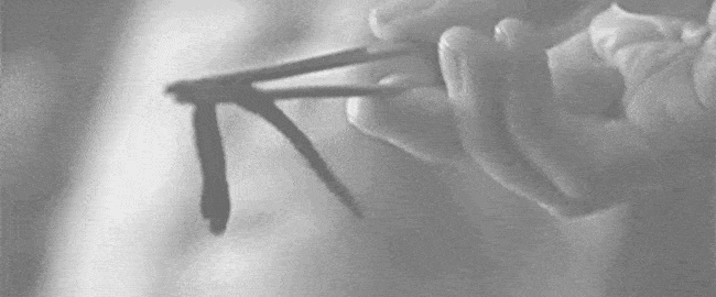 Tempest Prognosticator History: A Leech-Driven Weather Machine