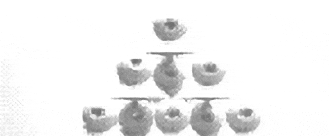 Connectix Quickcam Drivers: Lessons From a Retro Installation Failure