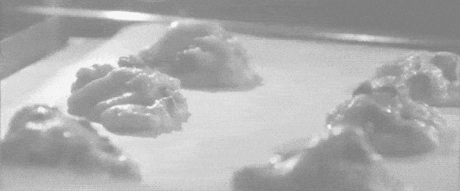 Parchment Paper History: How We Got Paper Perfect for Baking